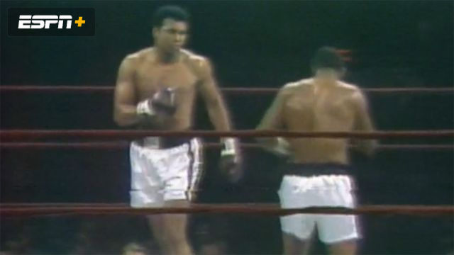 Boxing News, Rankings, Results, and History - Championship Boxing